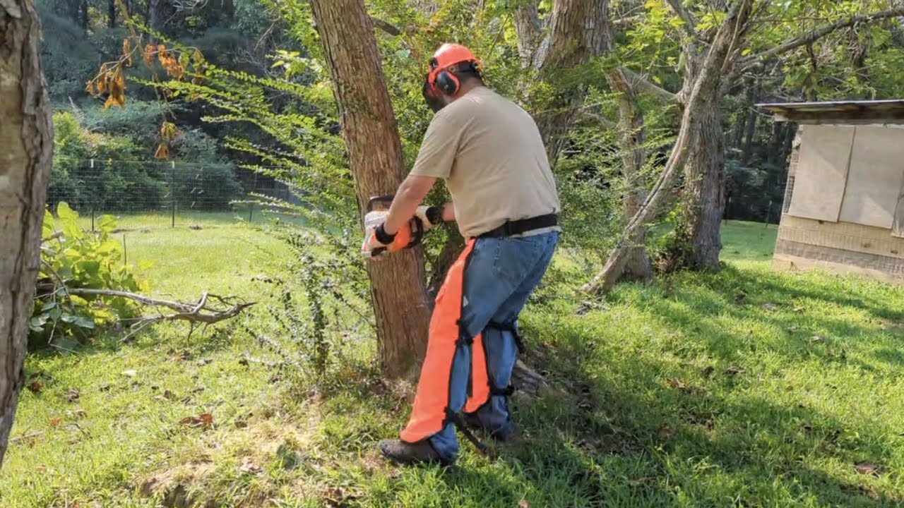 A Tree Is Down - IT'S CHAINSAW TIME! - Family Teamwork - Kerrigan ...