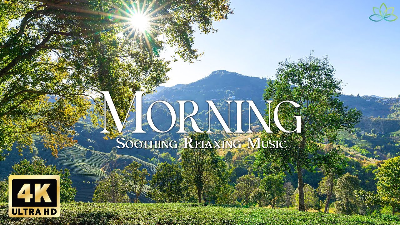 Sunny Morning Ambience 🌞 Positive & Happy Piano Music For Stress Relief ...