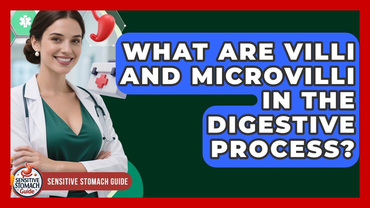 What Are Villi And Microvilli In The Digestive Process? - Sensitive ...