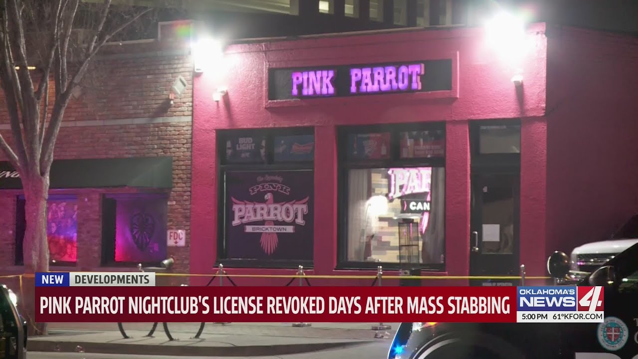 Pink parrot nightclub's license revoked days after mass stabbing - YouTube