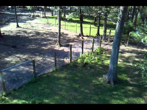 Southwick Zoo Skyfari Ride - YouTube