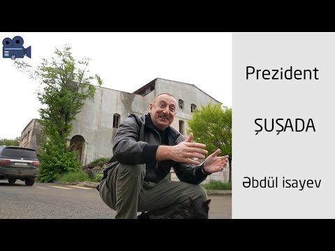 Prezident Şuşada pişiyi sığalladı (Maraqlı görüntü)