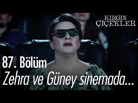 Zehra ve Güney sinemada... - Kırgın Çiçekler 87. Bölüm
