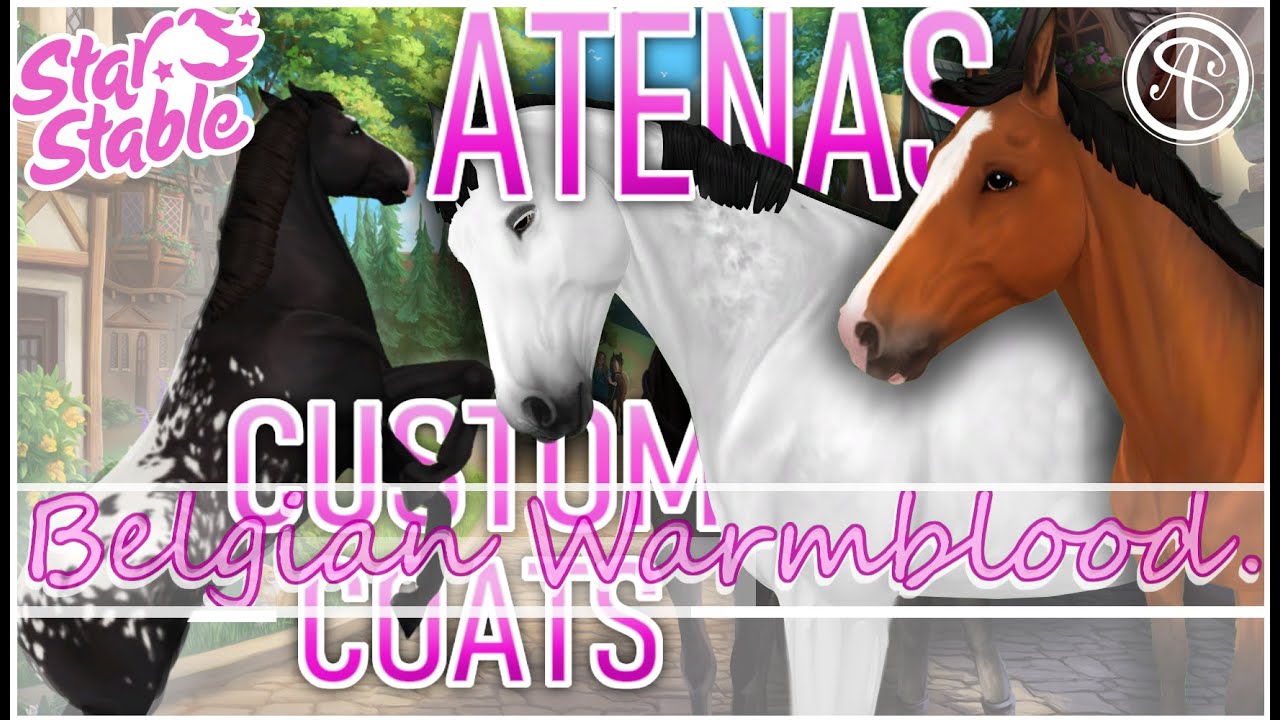 [SSO] ATENAS CUSTOM COATS + behind the scenes (Belgian Warmblood) - YouTube