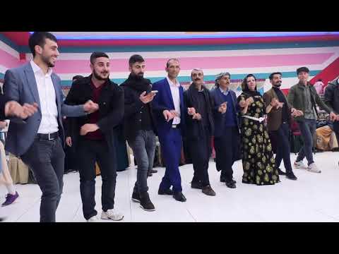 oğün köyü kaya ailesi