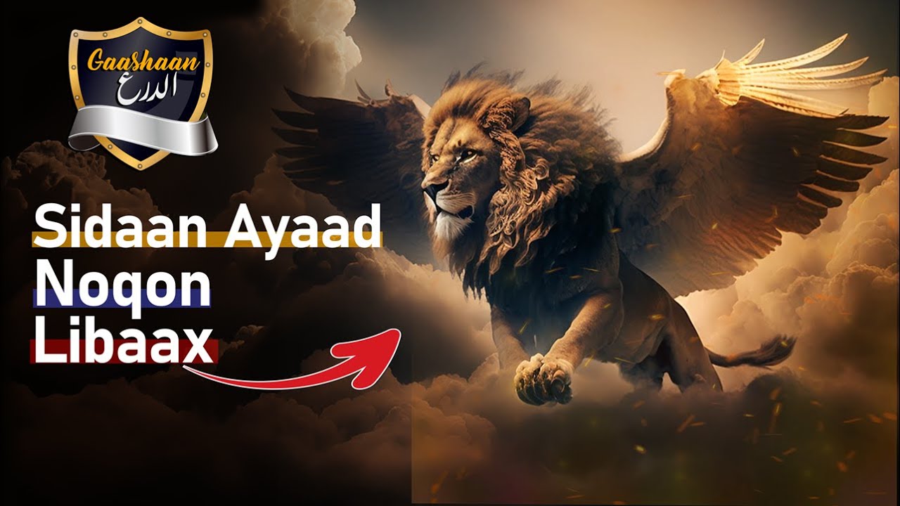 Daawashada Xun | Gaashaan | Marabtaa in aad libaax noqoto ? - YouTube