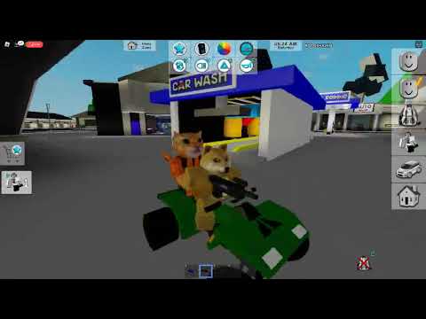 Doge and El Gato play Brookhaven