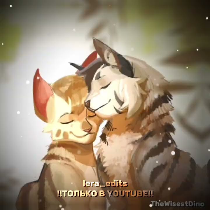 Numbers|warrior cats edit|Rootspring and Bristlefrost edit| #edit # ...