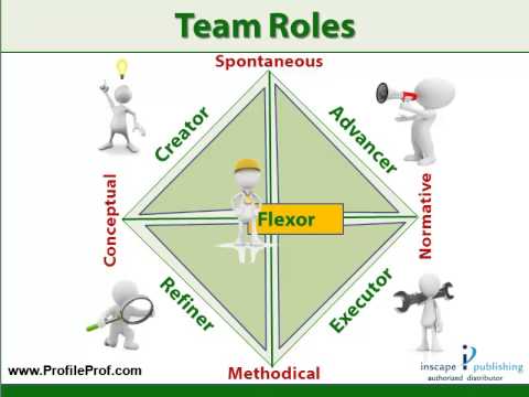 Team Roles- Team Dimension Profiles - YouTube