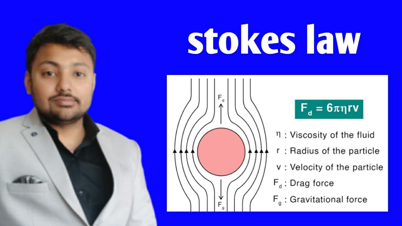 stokes law class 11 // fluids - YouTube
