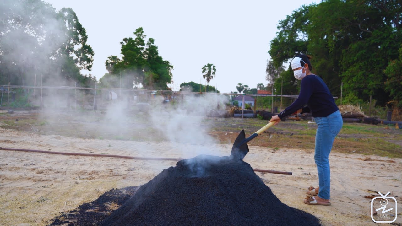 How to Make Compost Carbonize Rice Hull Micronutrient Growing Crops ...