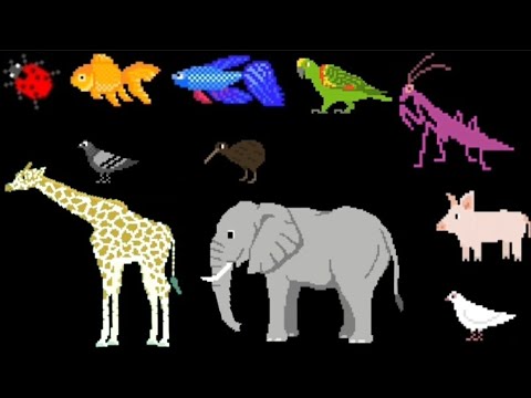 Animal Colors - The Kids' Picture Show - YouTube