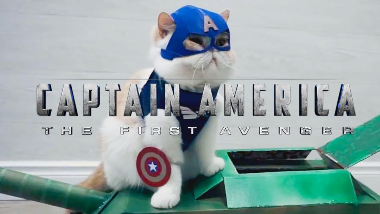 Captain America Cat | Avengers - YouTube