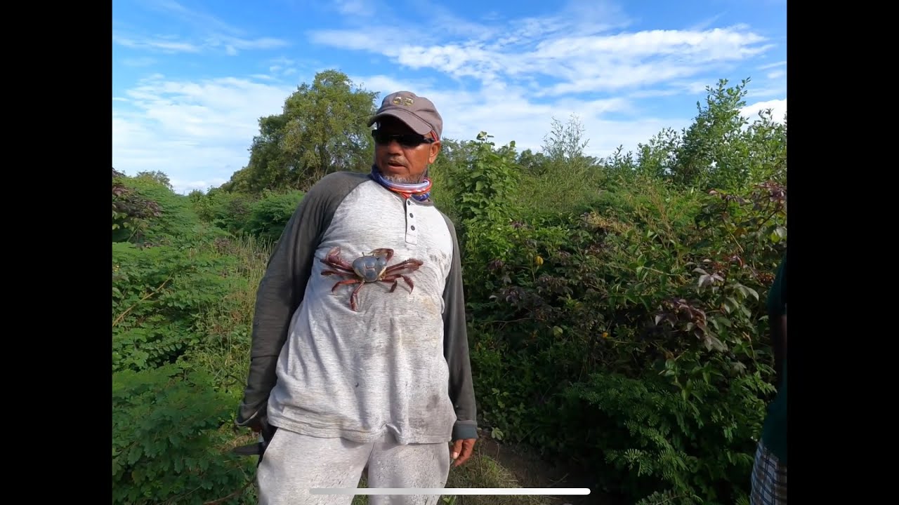 🇬🇾GUYANA BUCK CRABS Catching Beyond Your Imagination!🇬🇾 - YouTube