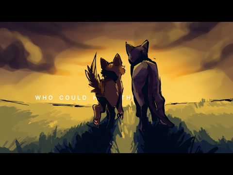 Multi Animator Projects