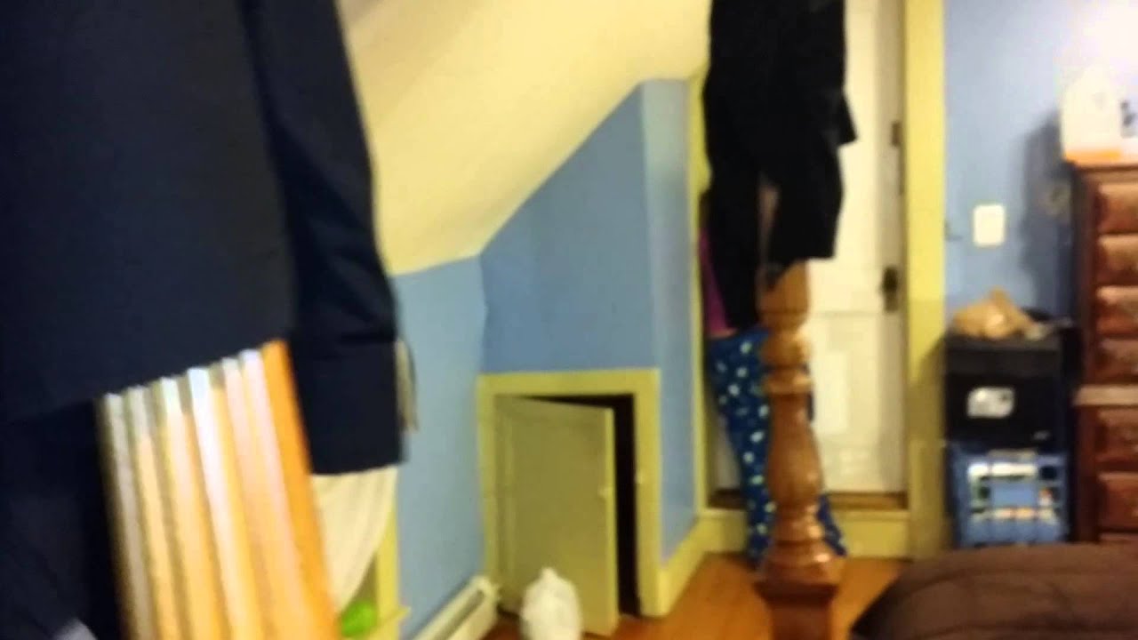 Bat in my room!!!! (Nice bat) - YouTube