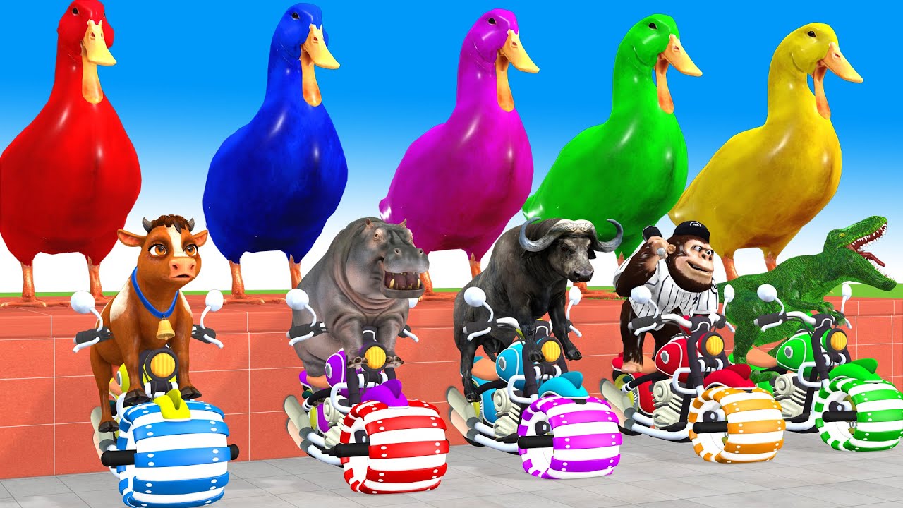 5 Giant Duck, Monkey, Piglet, Zebra, T-Rex, elephant, cow, Sheep ...