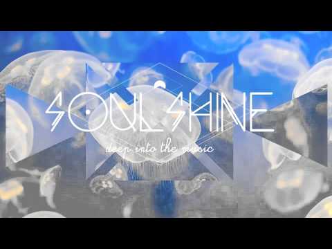 Waves (Robin Schulz Remix) - Mr. Probz - YouTube
