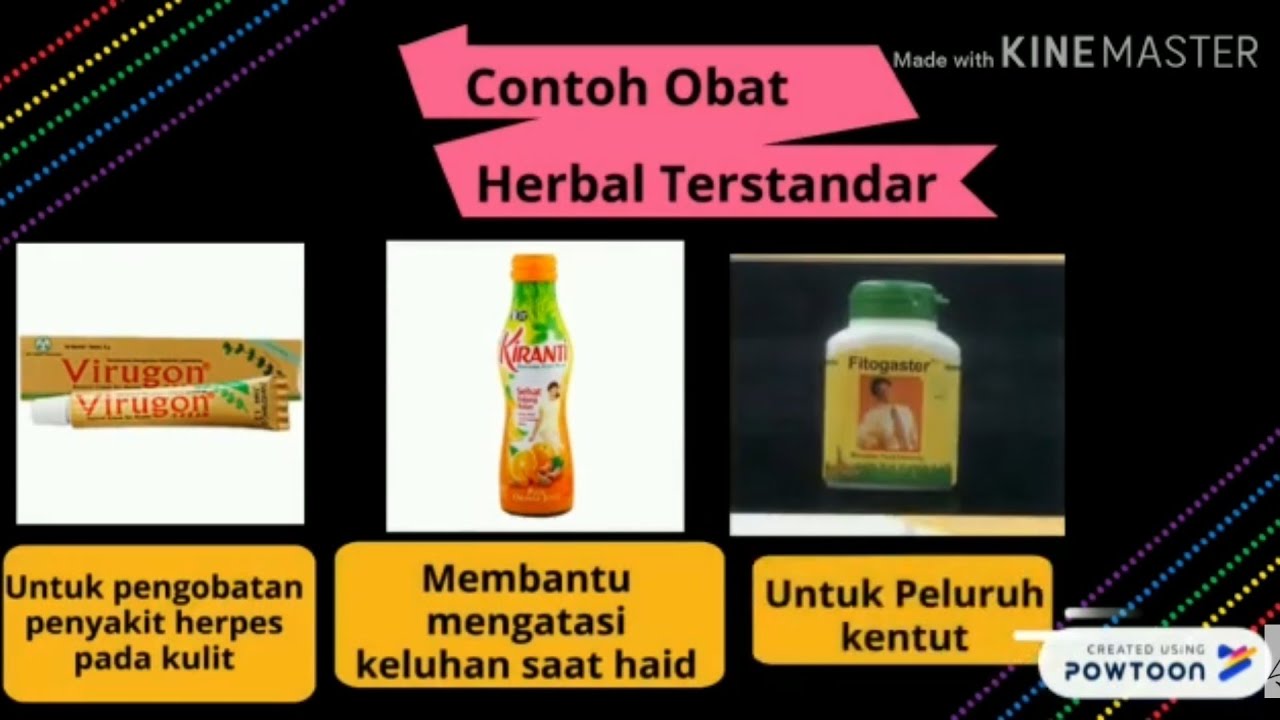 Obat herbal terstandar (OHT) - YouTube