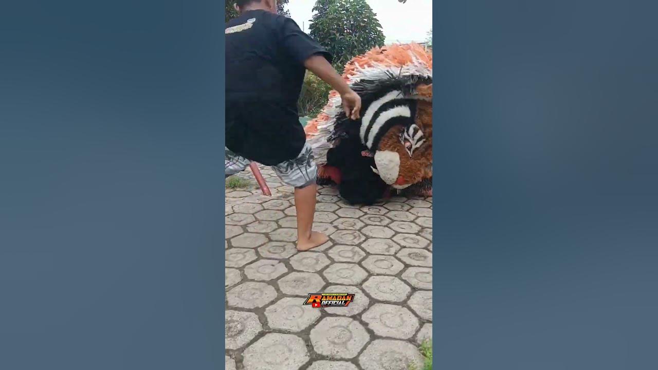 Can macanan ngamuk di ledekin bocil bocil - YouTube