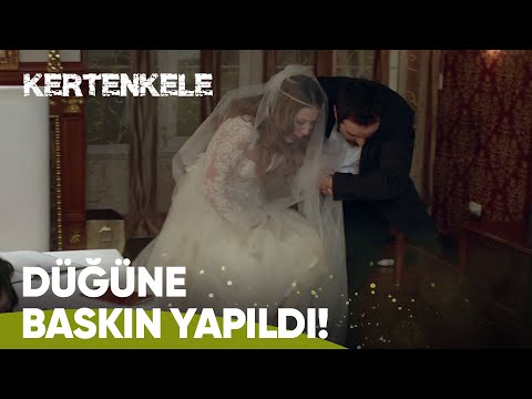 Düğüne baskın yapıldı! - Kertenkele 51. Bölüm🦎