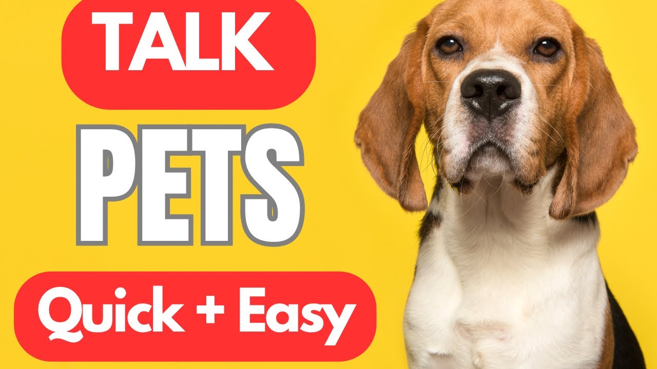 🔴LET’S TALK PETS! with Numbers and Colours | 18 Min | Parent Baby Songs ...