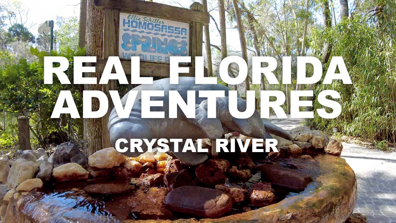Real Florida Adventures | Visit Orlando - YouTube