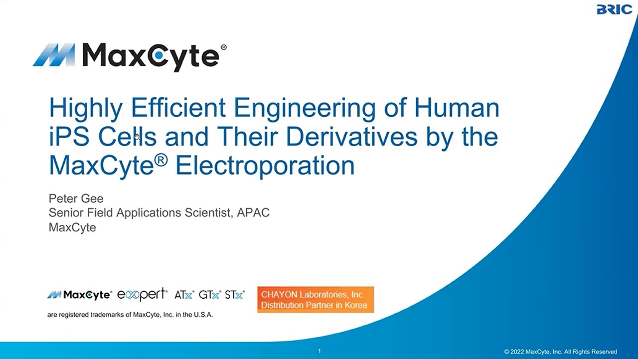 MaxCyte Electroporation을 이용한 Human iPSC와 iPSC 유래세포의 고효율 유전자 도입기술 소개 [자연 ...