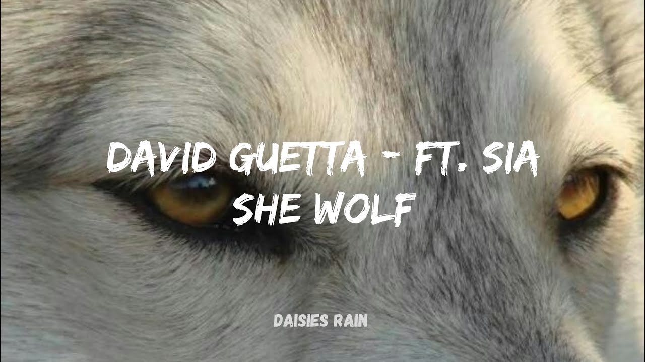 David Guetta _ Ft. Sia - She Wolf ~ Sub.Español - YouTube