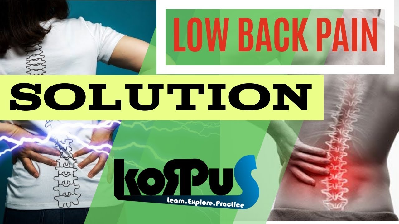 LOW BACK PAIN | SPINAL INSTABILITY | LOWER BACK EXERCISES | # ...
