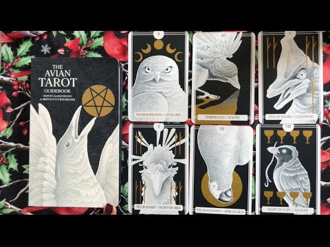 The Avian Tarot | Walkthrough, First Impressions & Pairings - YouTube