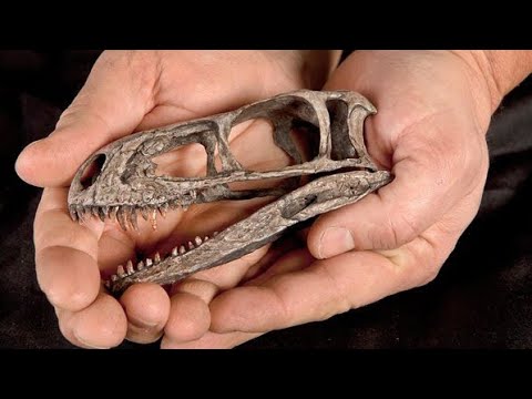 Jesusaurus - La Creación de Jesús y Dios - DinoPediasFicticia🇮🇱🇮🇷 - YouTube