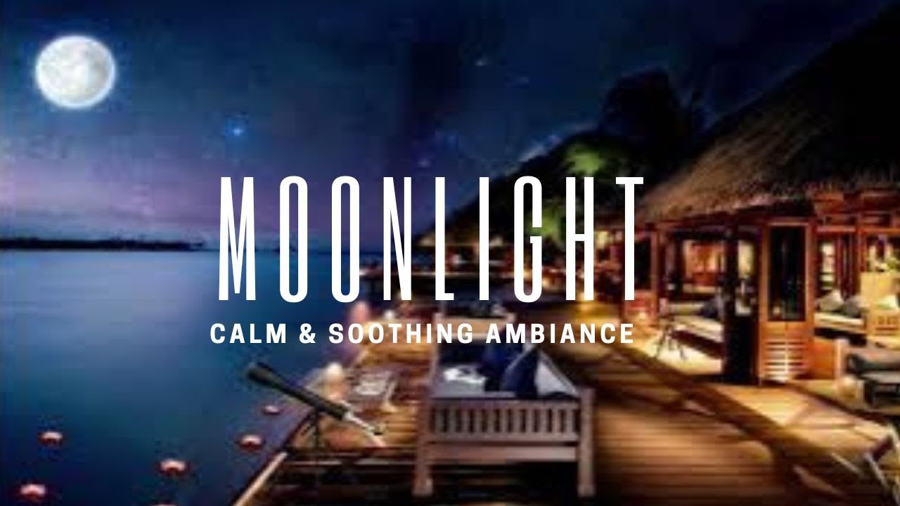 Moonlight Calm & Soothing Night Time Ambiance ᴴᴰ #sleep #relaxing # ...
