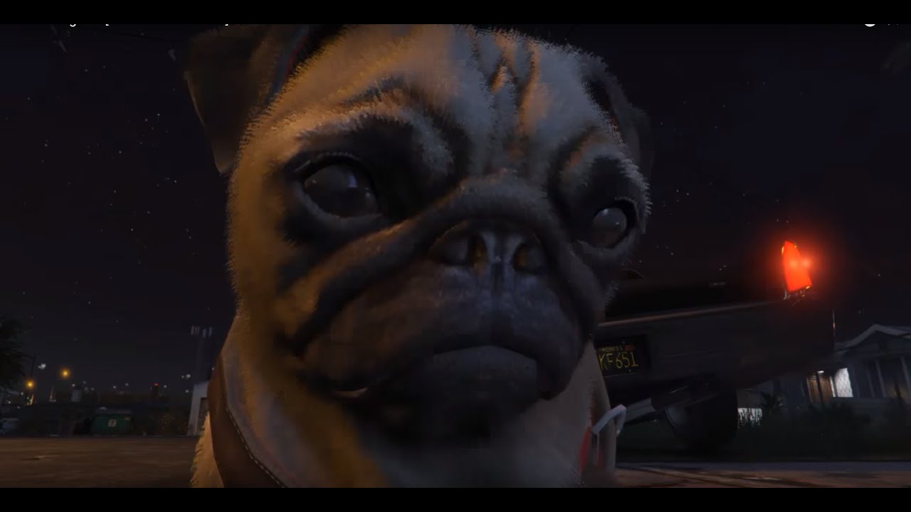 PUG LIFE! 🐶🐶🐶 BALLAS VS GOD PUG GTA 5 - YouTube