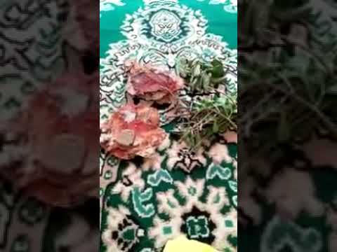 FAÏDA SOURNERE KEBAL ET JALBOU RÉALISER PAR MODIBBO ABOUBAKAR SALI GAROUA