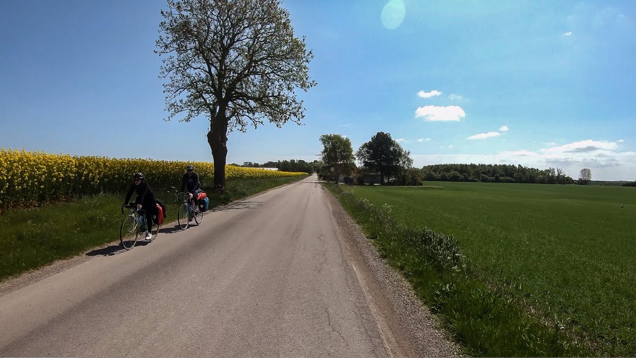 Cliffs of Stevns: Yellow Flower Fields and the Extinction of the ...