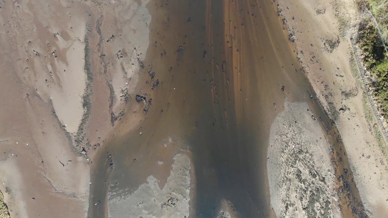 Ardeer Peninsula beach, estuary and saltmarsh 02 - YouTube