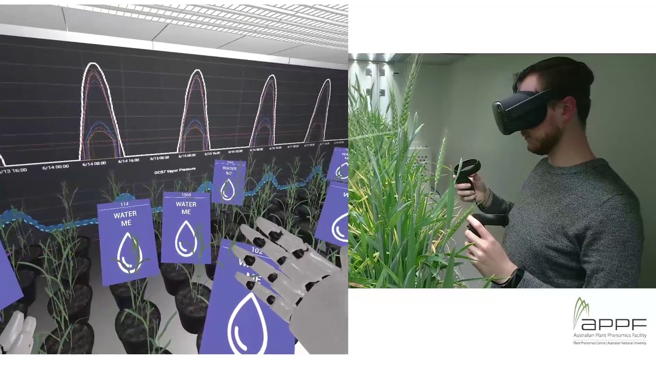 APPF LabVR demo - virtual plant growth environment - YouTube