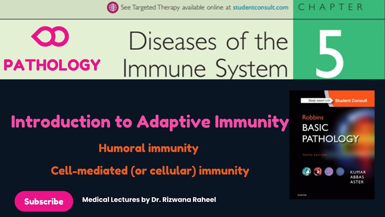 Adaptive immunity | Humoral immunity | Cell mediated immunity | Robbins ...
