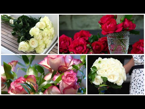 Гулларни  гулдонда тетик холда саклашнинг  10 усули/Gullarni guldonda tetik holda saqlash 10 usuli