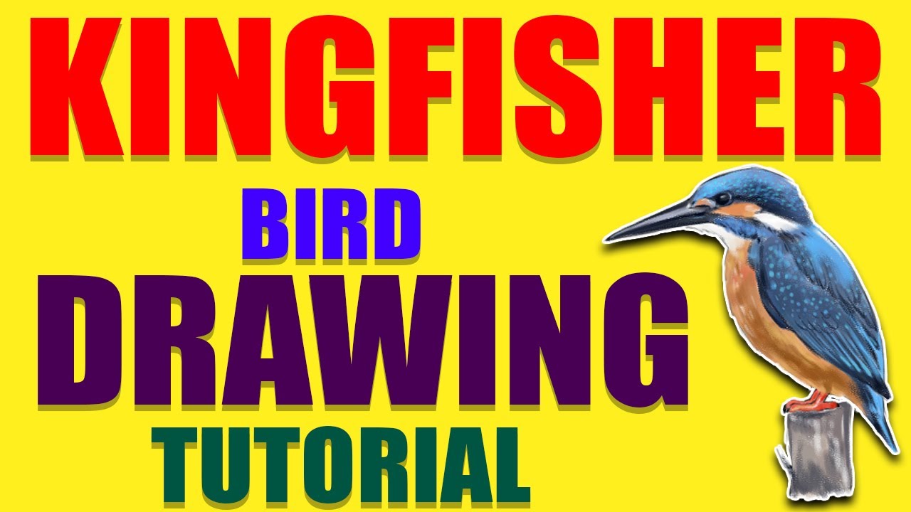 KINGFISHER BIRD DRAWING TUTORIAL | Kingfisher drawing simple ...