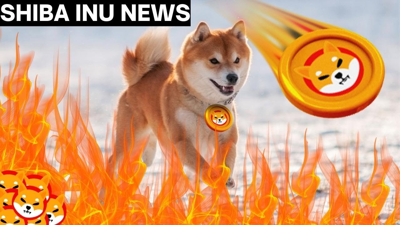SHIBA INU TOKEN GETS NEW UPGRADE! | NEW UPDATE! | GET READY FOR SHIB ...