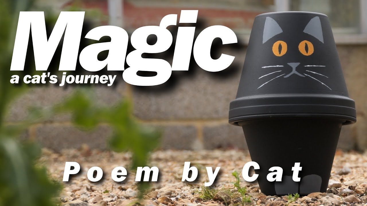 Magic - A cat's journey - Poem - YouTube
