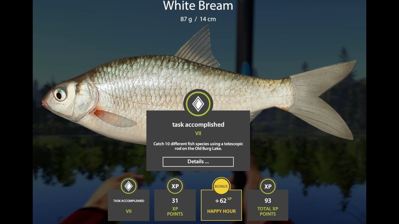 RF4 7th Anniversary Stage 3 part 1 - YouTube