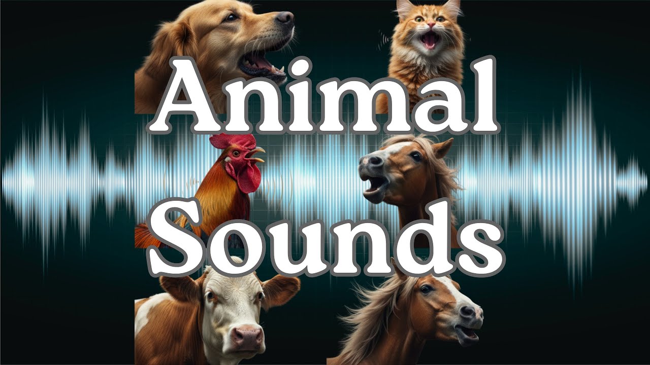 Animal Sounds and Their English Words (20 Examples) - YouTube