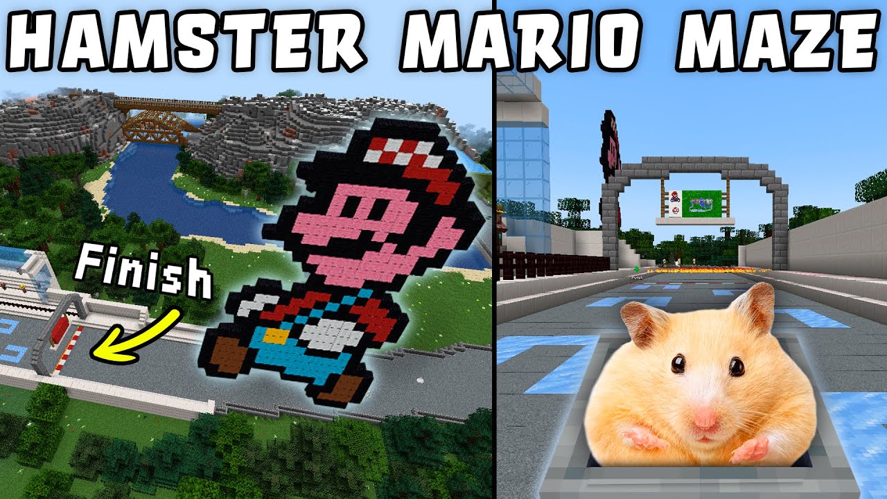 Hamster in Super Mario Maze - YouTube