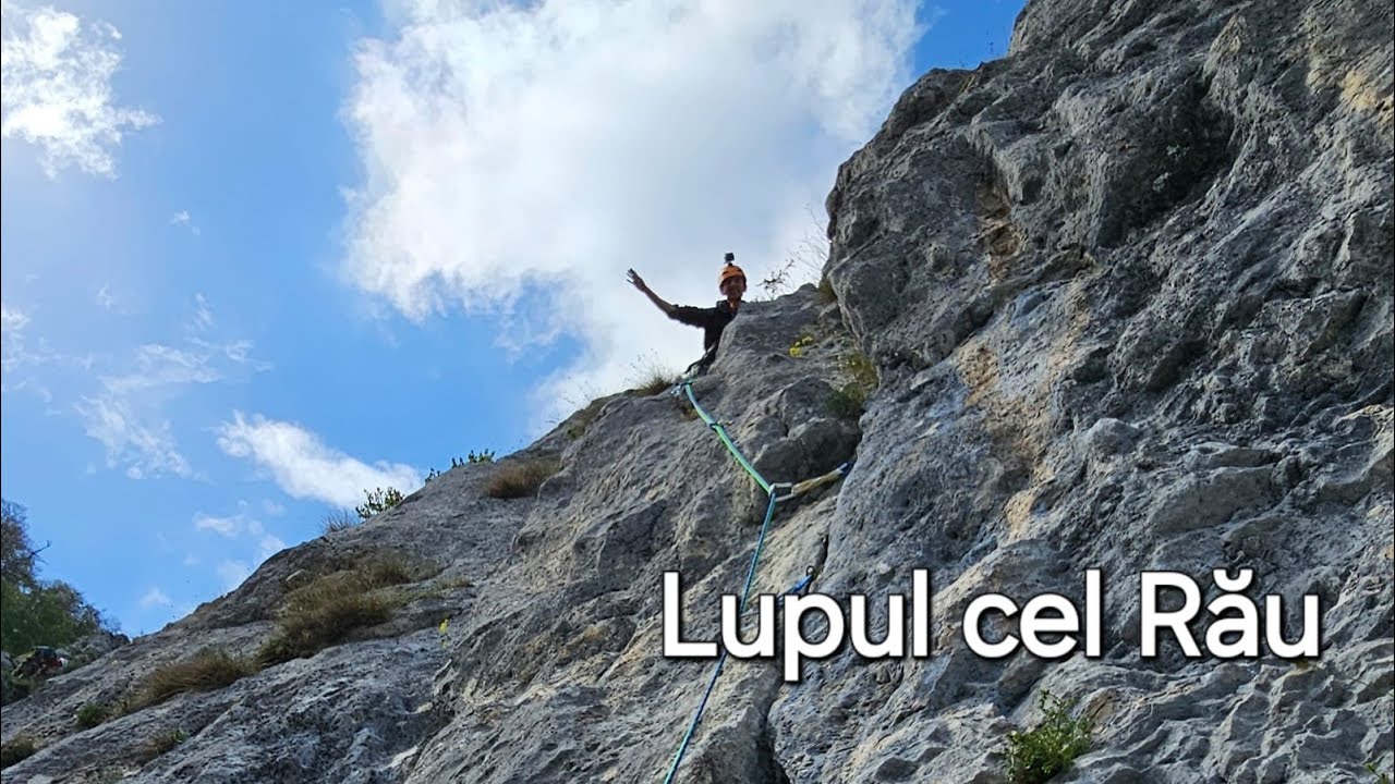 Lupul cel Rau | Peretele Animalelor | Postavaru - YouTube