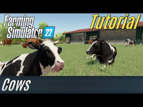 Cows: FS22 Tutorial - YouTube