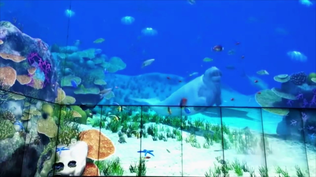The Cube at QUT - world's biggest multitouch installation - YouTube