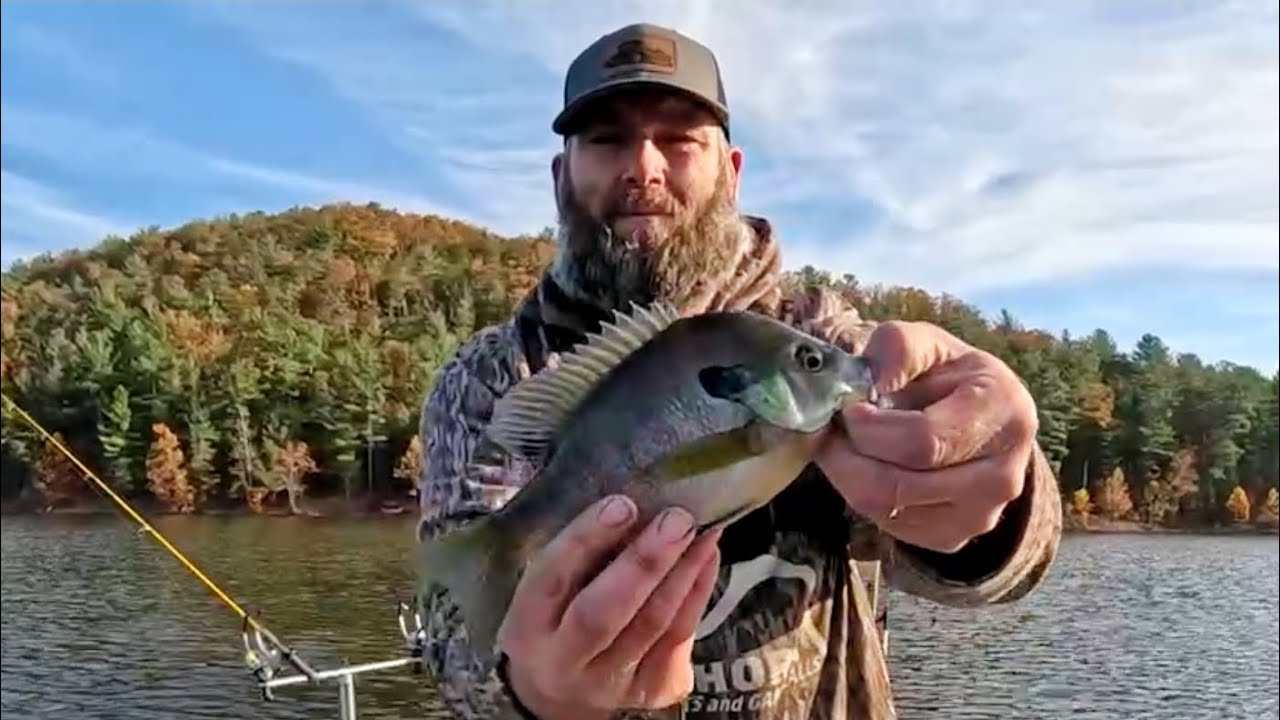 How I Catch Big Bluegill While Trolling – Simple and Effective! - YouTube